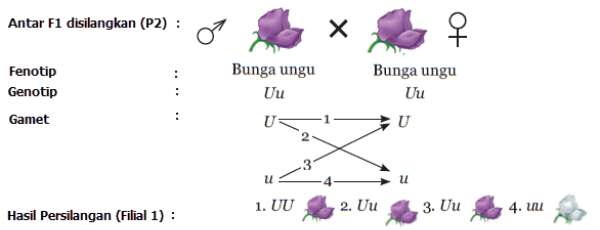 kejarcita | Merdeka Belajar Merdeka Mengajar