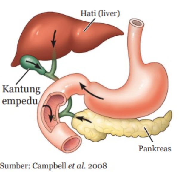 kejarcita | Pendidikan Bermutu untuk Semua